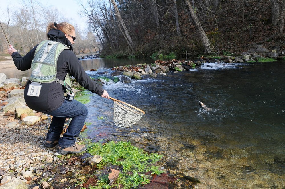 Trout take chill off winter at Roaring River State Park