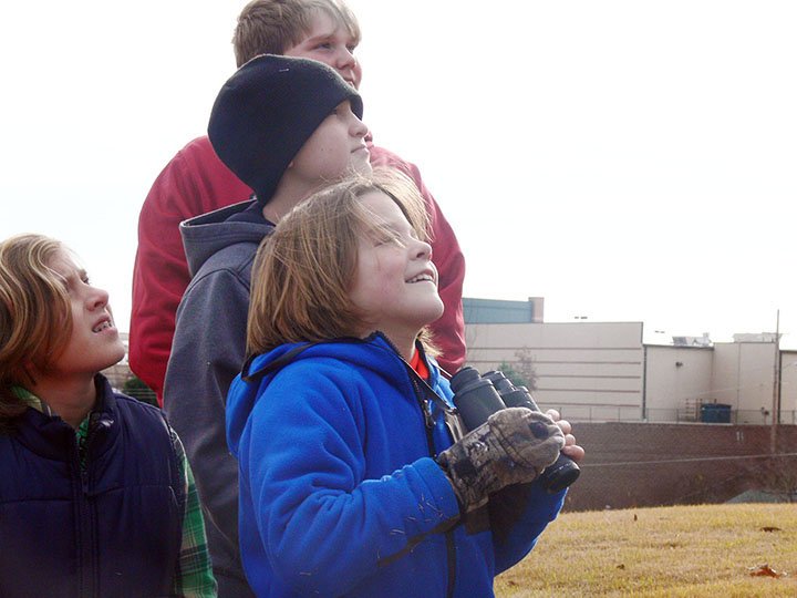 Birders flock to count circles for Christmas, take tally | The Arkansas ...