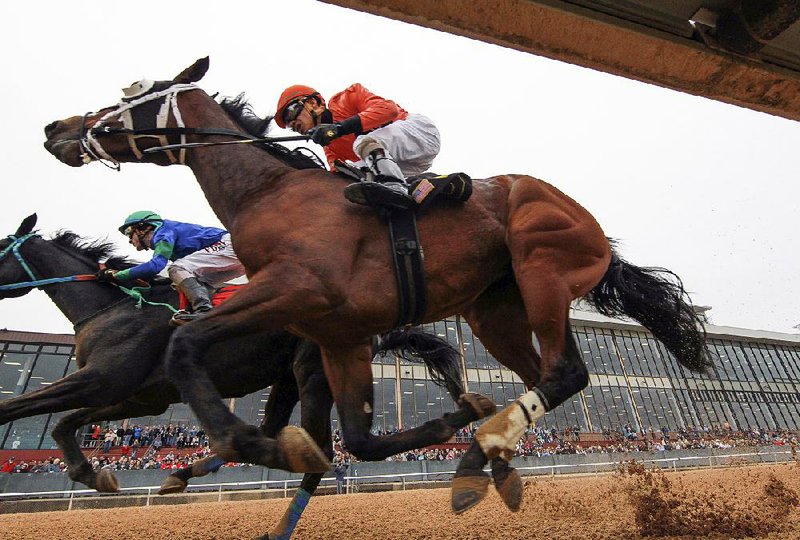 Pacing and racing | The Arkansas Democrat-Gazette - Arkansas' Best News ...