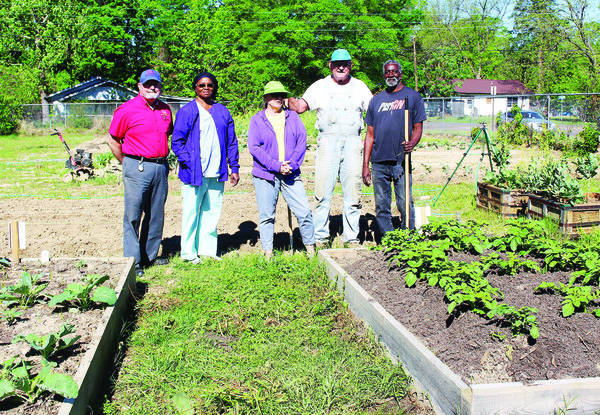 Southside Community Garden to provide free spaces for families to grow ...