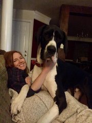 Amber Straughn | Northwest Arkansas Democrat-Gazette