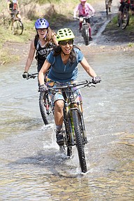 Search | The Arkansas Democrat-Gazette - Arkansas' Best News Source