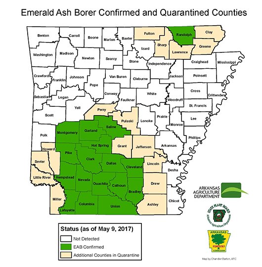 Presence of emerald ash borer confirmed in Garland County