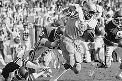 Wally Hall | Whole Hog Sports