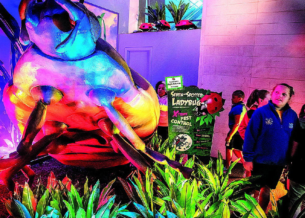 Insect invasion! Clinton Presidential Center overrun with ‘Xtreme Bugs ...