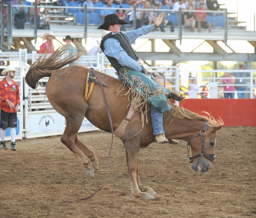 Mounts a 'city boy' cowboy from Pine Bluff
