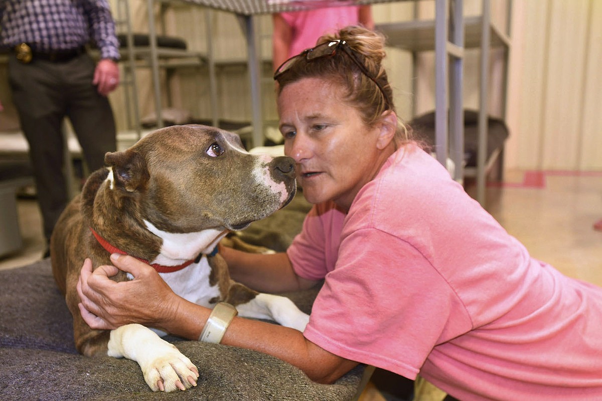 Inmates, shelter dogs benefit from new Benton County Jail program | The ...