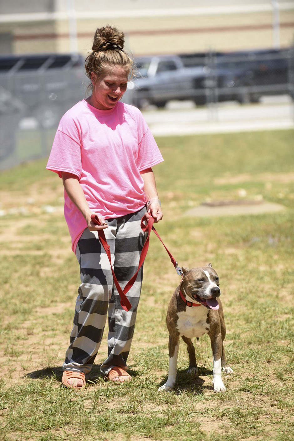 Inmates, shelter dogs benefit from new Benton County Jail program