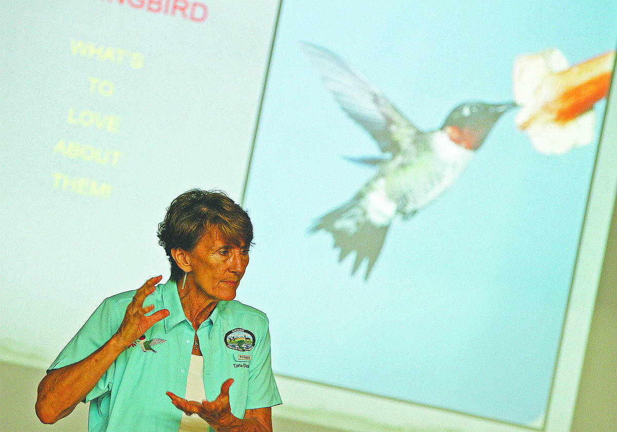 Hummingbird Education 2 | El Dorado News
