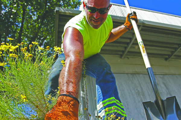 MAD cleaning | El Dorado News