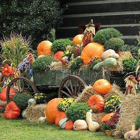 Harvest Game Day, brunch | Hot Springs Sentinel Record