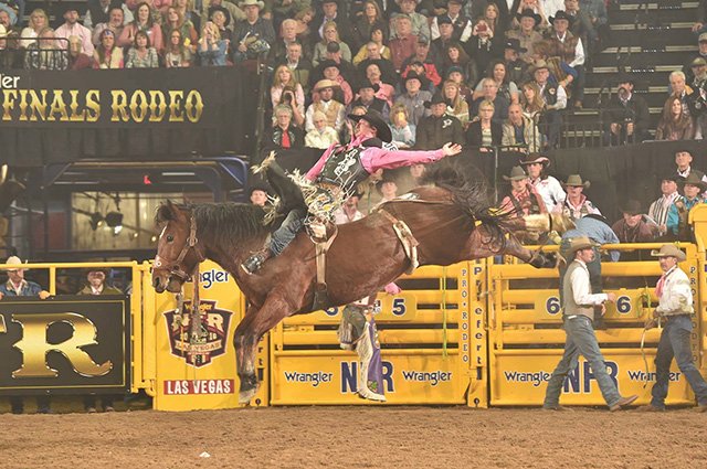 Hi Lo ProRodeo animals headed to Las Vegas | Magnolia Banner News