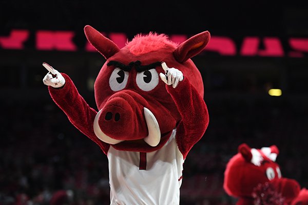 WholeHogSports - Arkansas vs. Minnesota: TV, radio, online and game ...