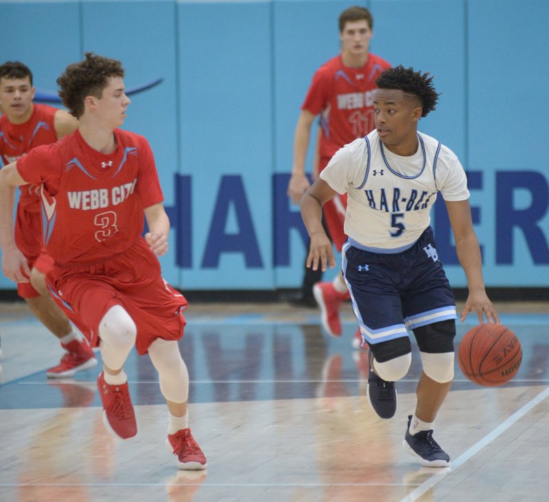 Basketball: Perry hits milestone in Har-Ber rout