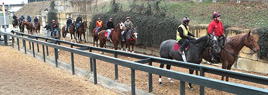 'Seasoned team' key to success