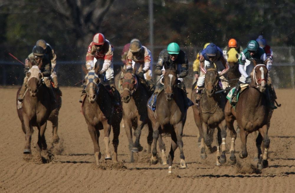 Oaklawn racing opening day | The Arkansas Democrat-Gazette - Arkansas ...