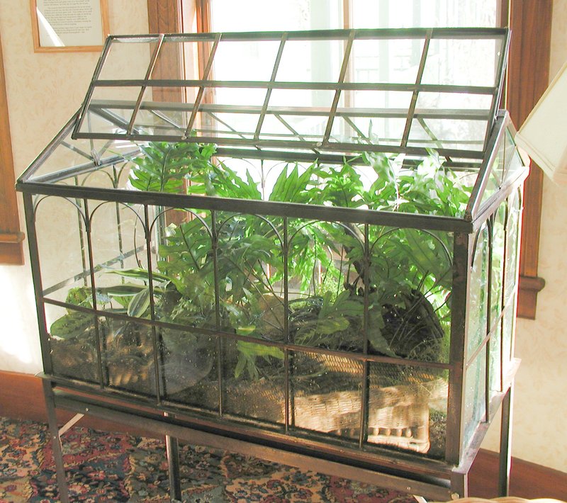 Plants can thrive with no care at all in Wardian case containers
