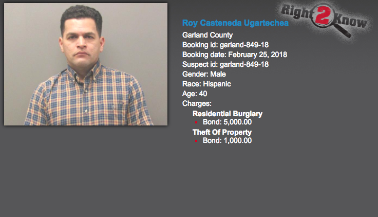 Arkansas man faces felony charge in theft of puppy | The Arkansas ...