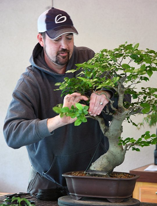 Tray planting | Hot Springs Sentinel Record