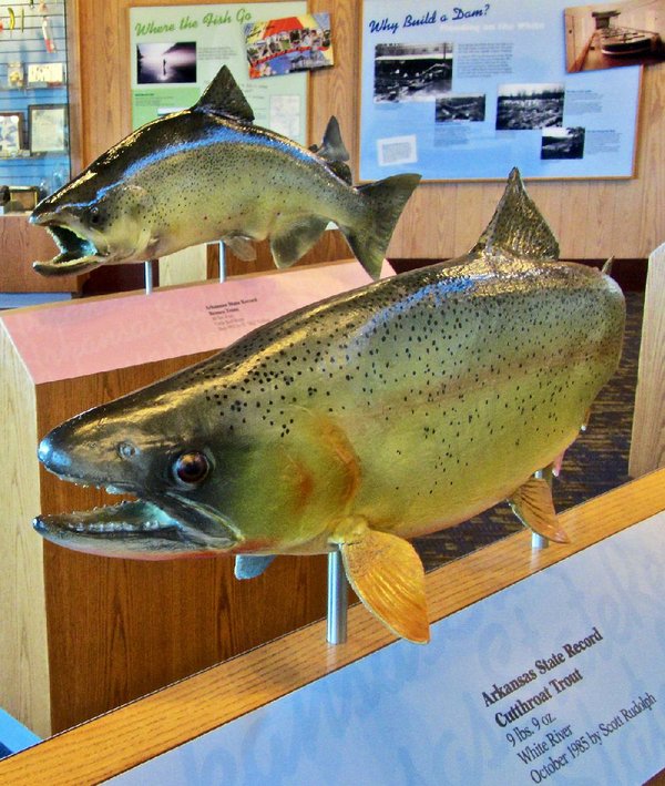 Huge lake, big fish and fun await anglers at Bull Shoals | The Arkansas ...