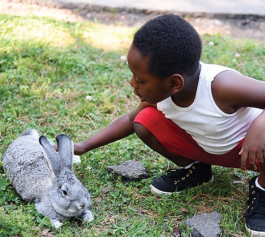 Wabbit season | Hot Springs Sentinel Record