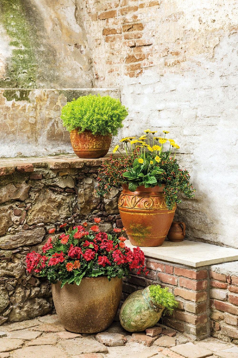 Container culture