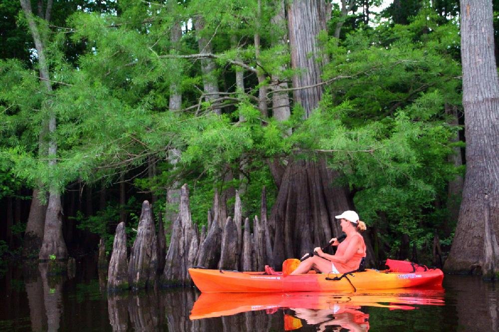Bayou DeView Water Trail | The Arkansas Democrat-Gazette - Arkansas ...