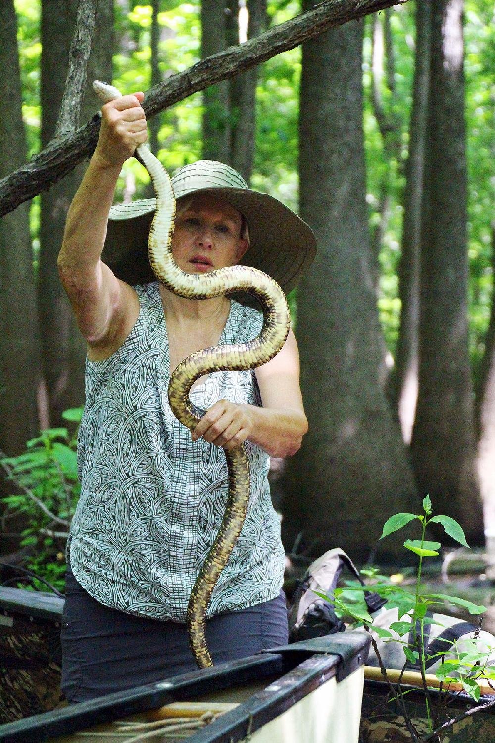 PHOTOS: Mysterious and majestic, bayou offers eye-popping adventure ...