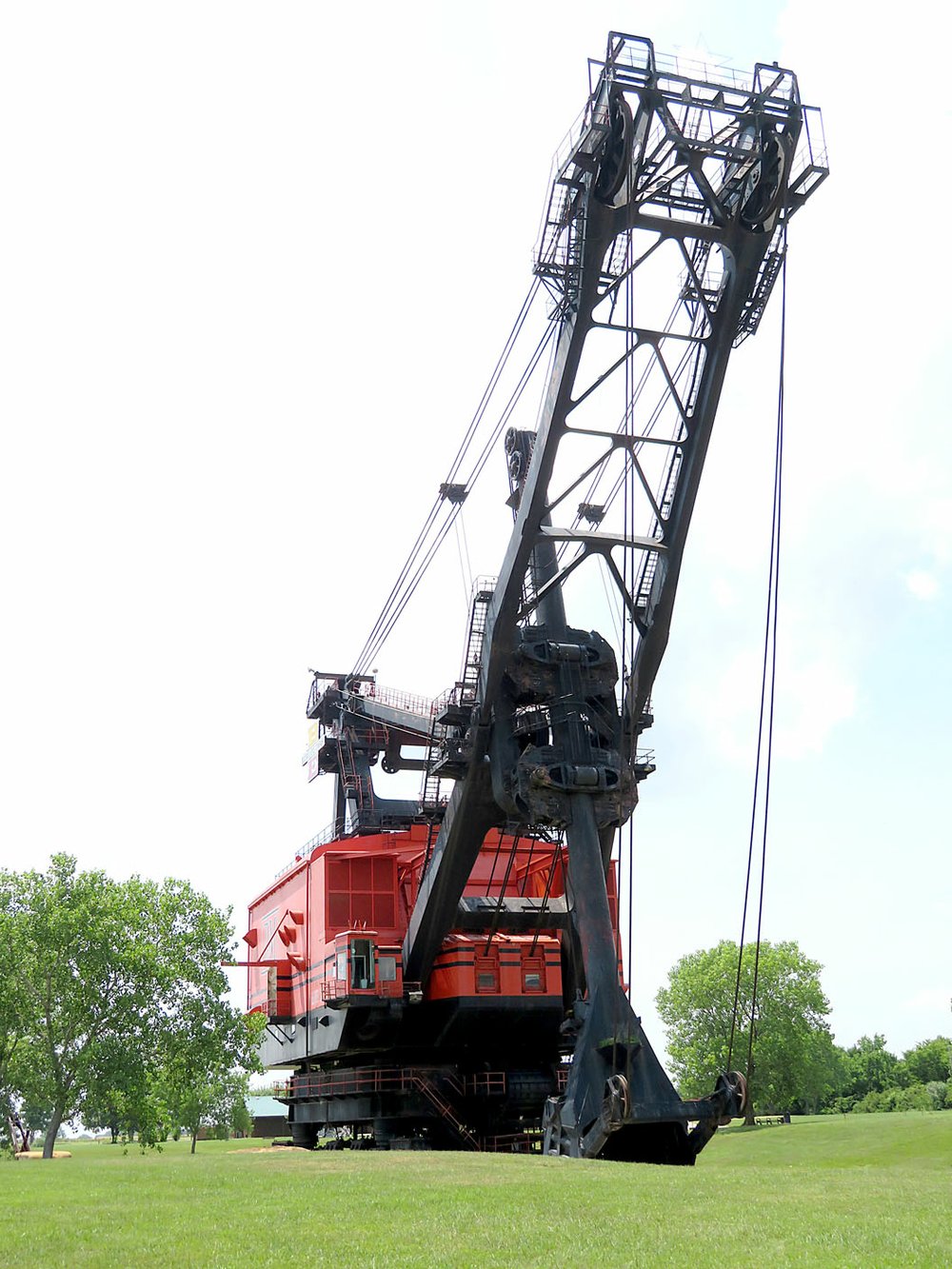 Big Brutus far more impressive than we imagined
