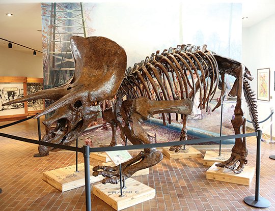 Arkansas Museum of Natural Resources offers step back in time | Hot ...