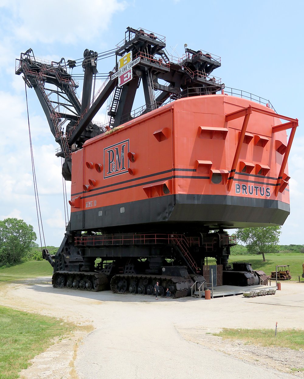 Big Brutus far more impressive than we imagined