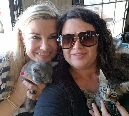 Good Samaritans rescue stowaway kittens | Hot Springs Sentinel Record