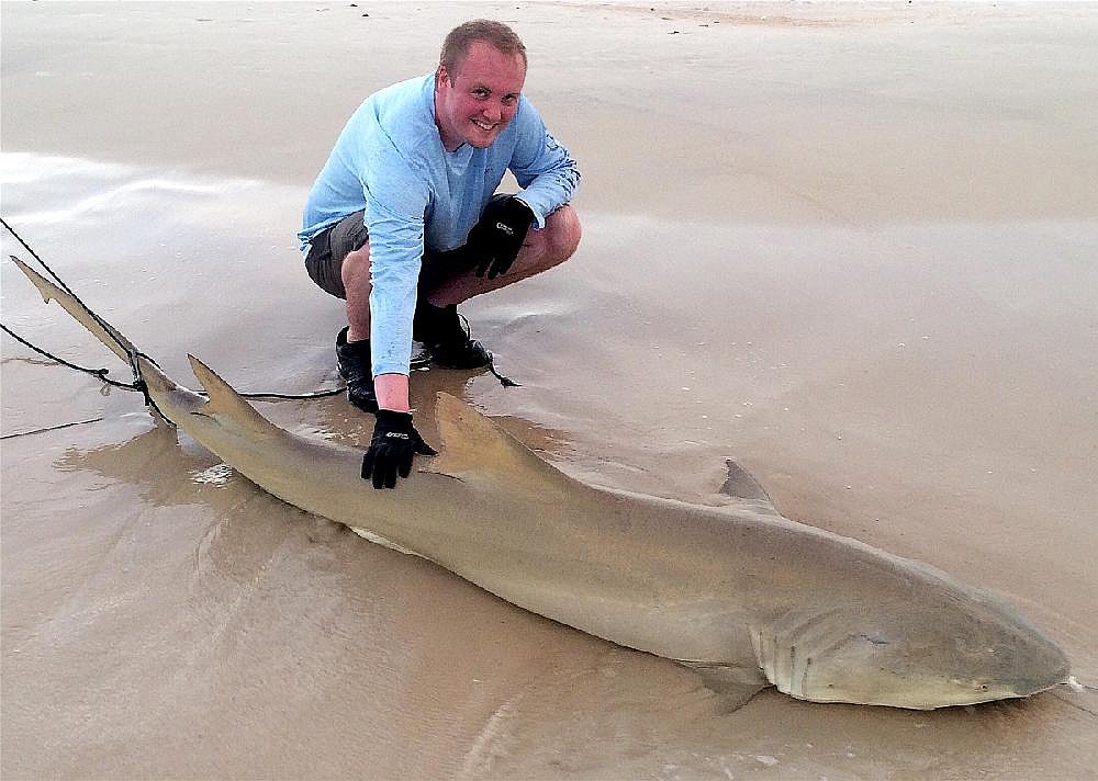Shark! | Northwest Arkansas Democrat-Gazette
