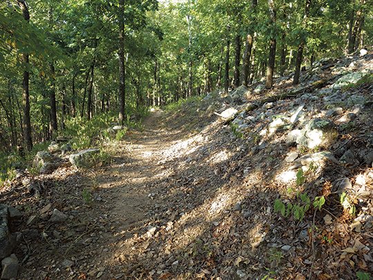 Lake Ouachita Vista Trail: A jewel in our own backyard
