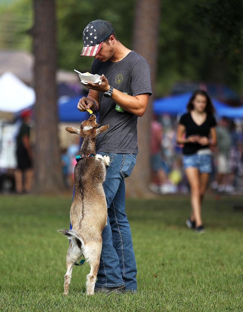 FALL FESTIVALS: Nine fun-filled events this season in Arkansas ...