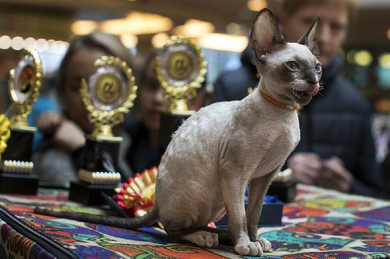 The World in Brief | Northwest Arkansas Democrat-Gazette