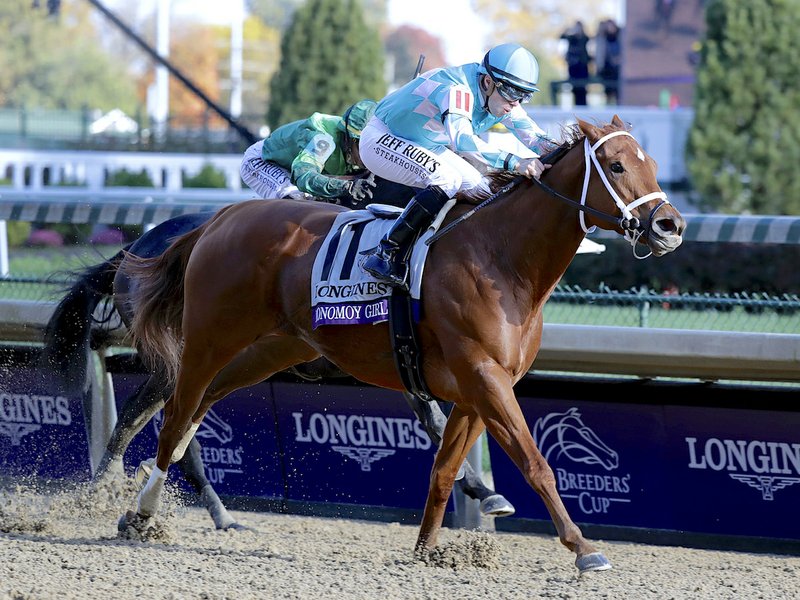 'Monster' Monomoy Girl eyes Oaklawn start | Hot Springs Sentinel Record