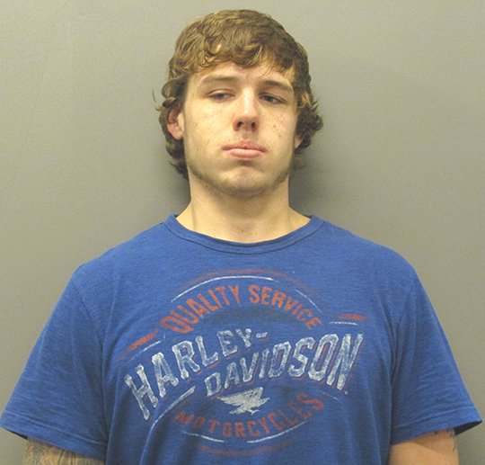 Alleged thief arrested on felony charges