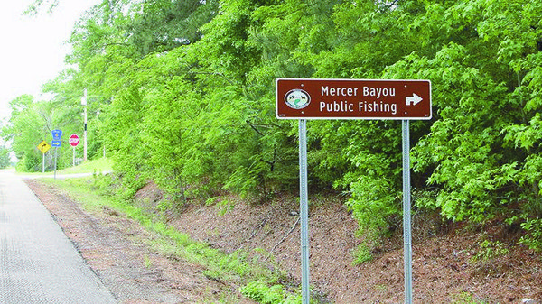 Mercer Bayou near Fouke reopens for duck season | Magnolia Banner News