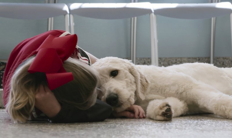 Netflix docu-series 'Dogs' lovingly serves up the human bond | Hot ...