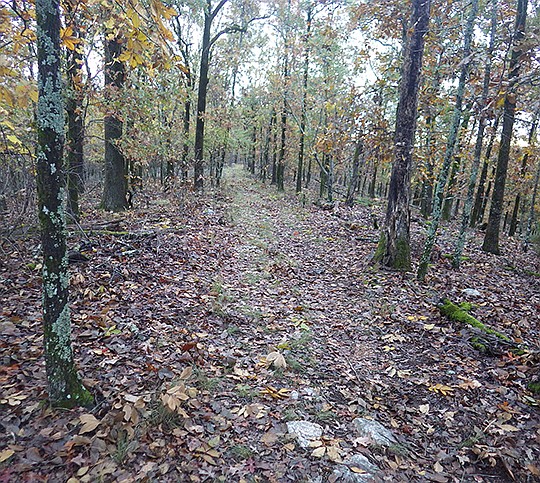 Sunset Trail offers safe haven for hikers during deer season | Hot ...