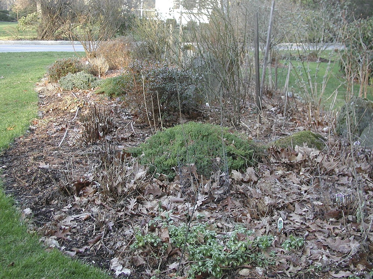 Want a 'Weedless' garden in spring? Begin now | Northwest Arkansas ...