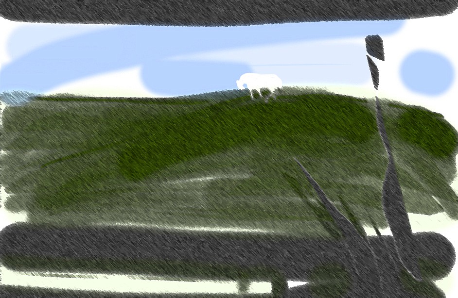 SHARON RANDALL: Four slow miles that changed my life | Northwest ...