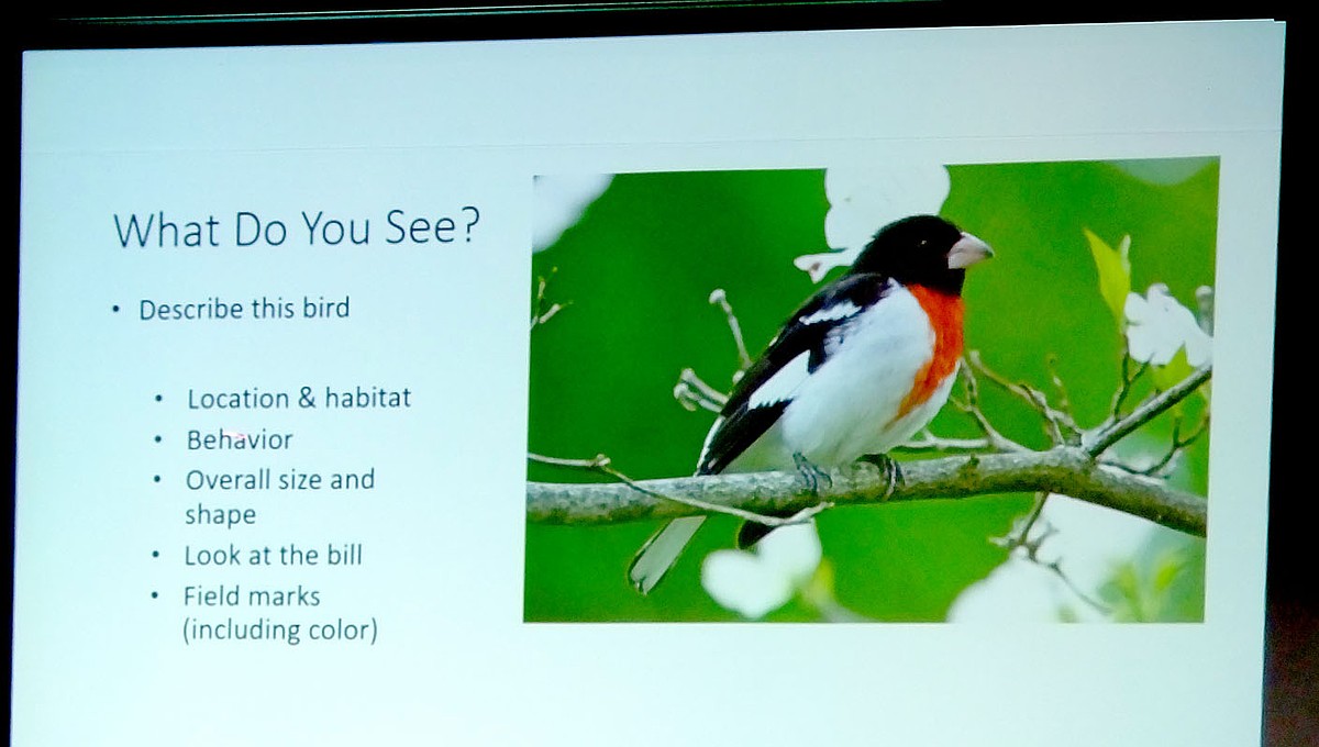 Seminar held on bird identification | Westside Eagle Observer