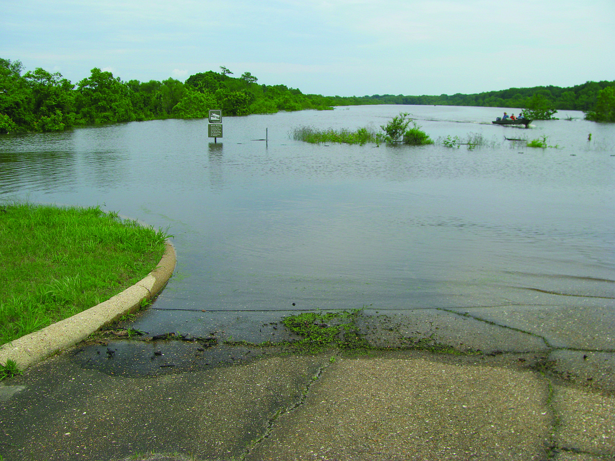 Agency seeking input on expansion of Felsenthal NWR hunt | El Dorado News