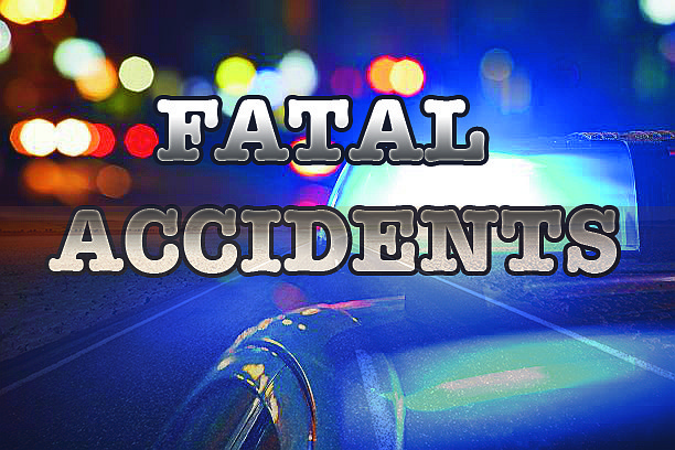 Homer driver killed in car crash; Hampton pedestrian fatally struck on ...