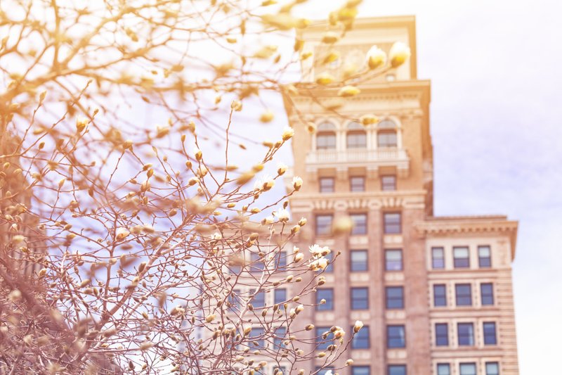 Spring is finally here. Here are 10 ways to make the most of it.