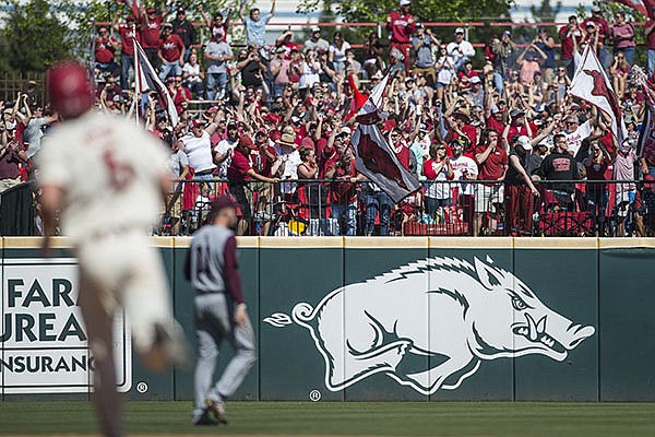 'This place is bananas': Hogs continue to roll in home park | Whole Hog ...