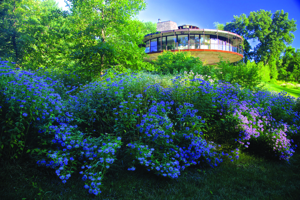 Wild-looking and sustainable is the trend in garden design