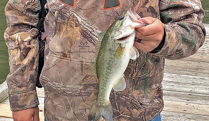 Fish No. 10 | Hot Springs Sentinel Record